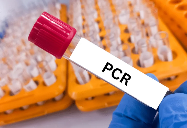 PCR: Proteína C Reativa: O Que É, Para Que Serve?